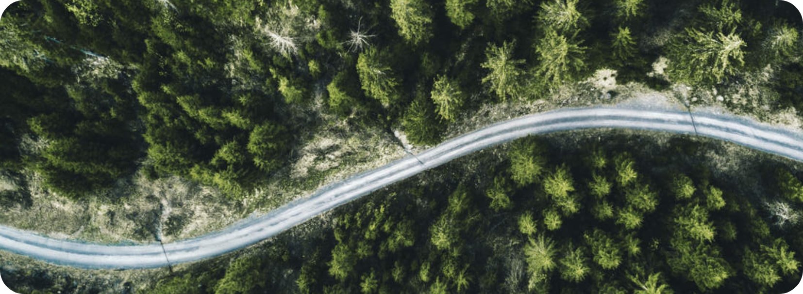 Sustainability - IP Gruppo api