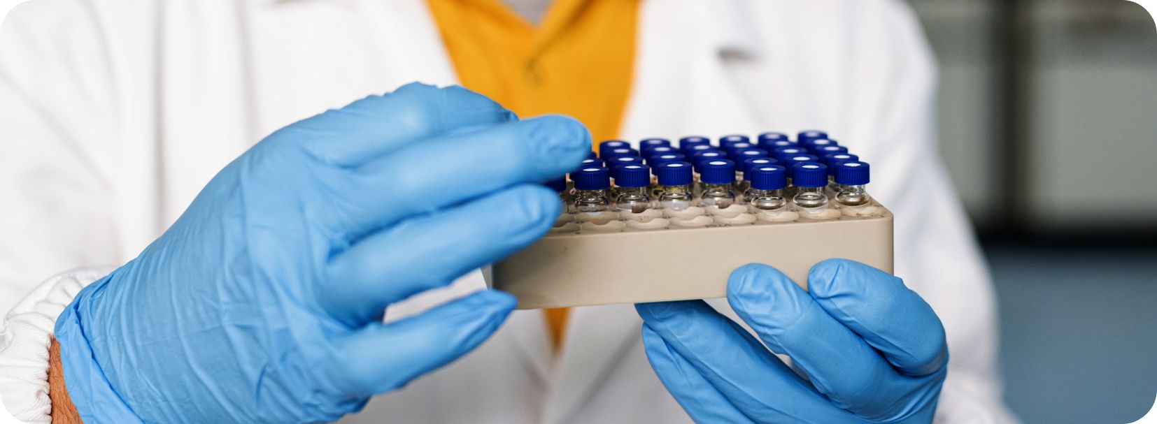 Research and innovation - IP Gruppo api